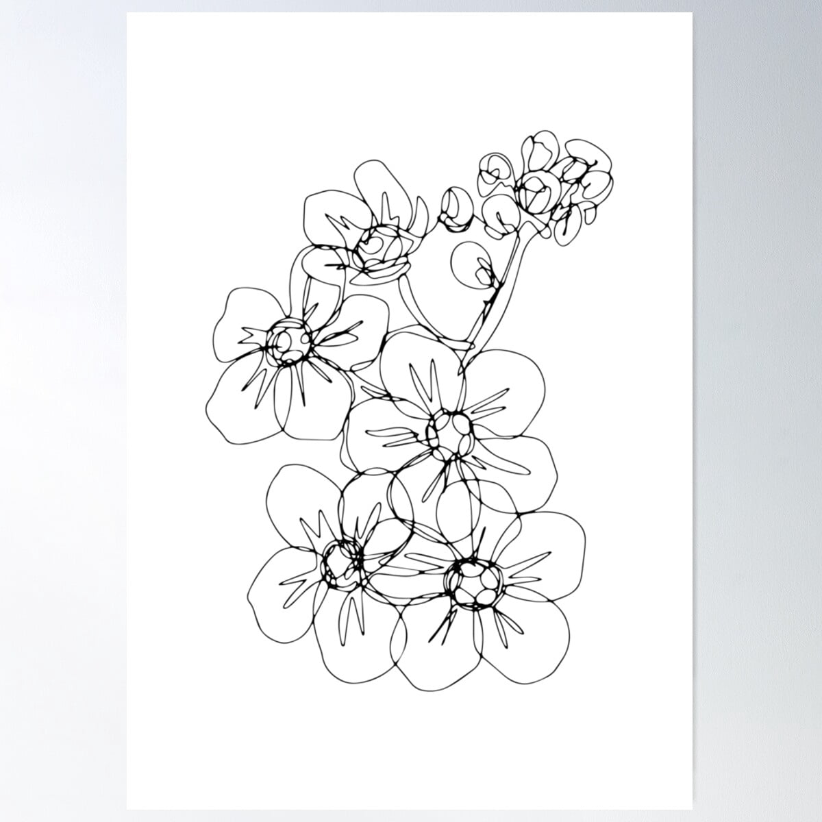 Minimalistic Black and White Flower | Boho Wild Flower Art Poster ...