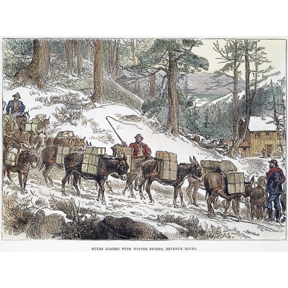 Mining Mule Train 1880. Na Mule Train Provisioning A Miner'S Camp In ...