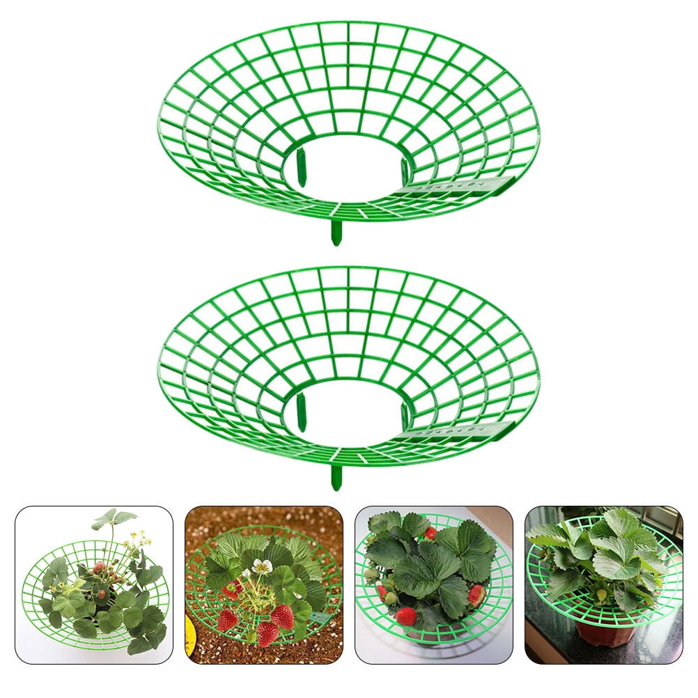 Minkissy Strawberry Frame Green Racks Strawberry Growing 2Set - Walmart.com