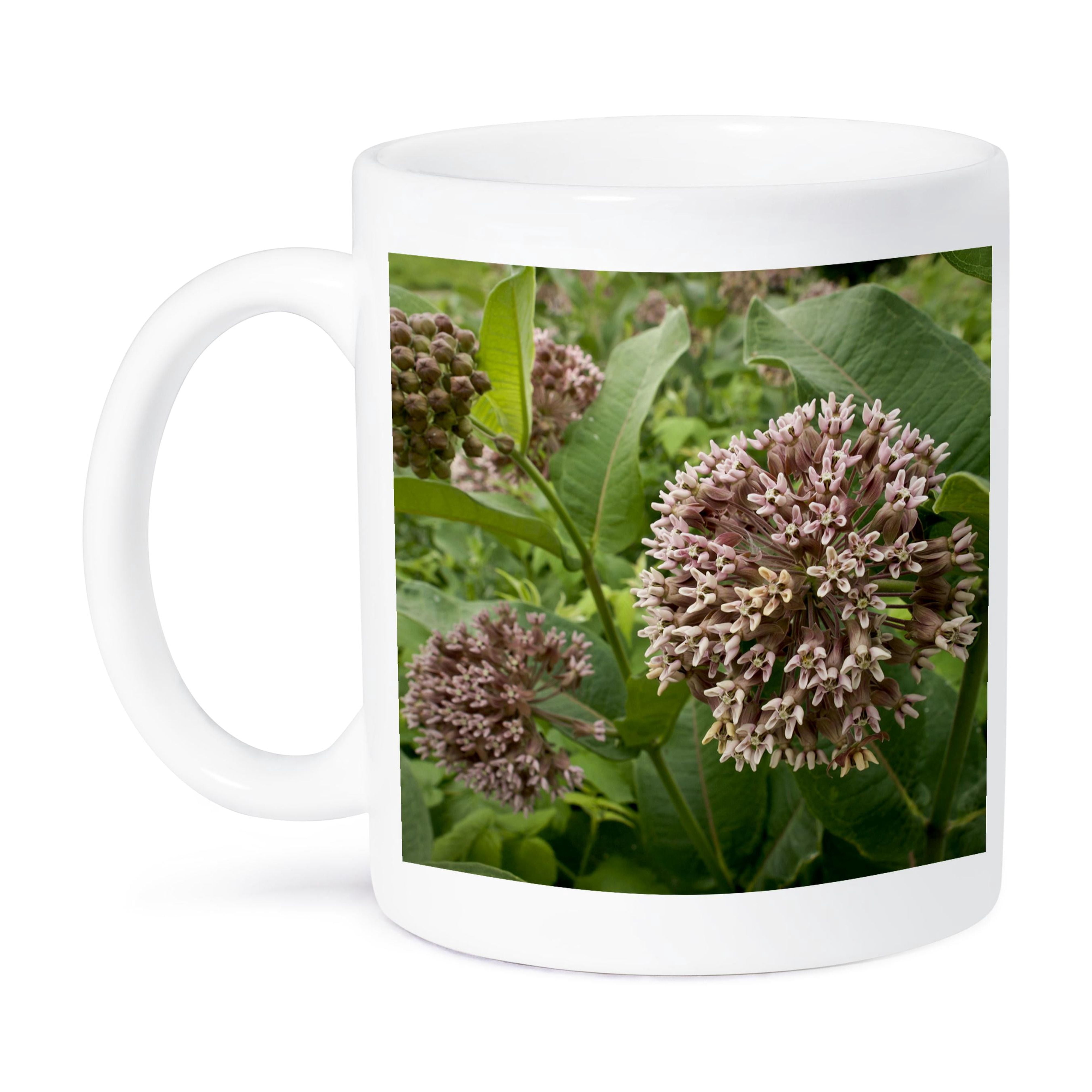 Minnesota, Eagan, Jenson Lake Park, Milkweed Flora - Us24 Rsp0011 - Rob ...