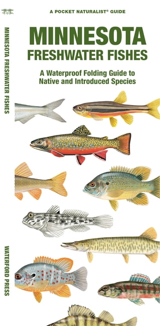 Freshwater Fish Species Chart