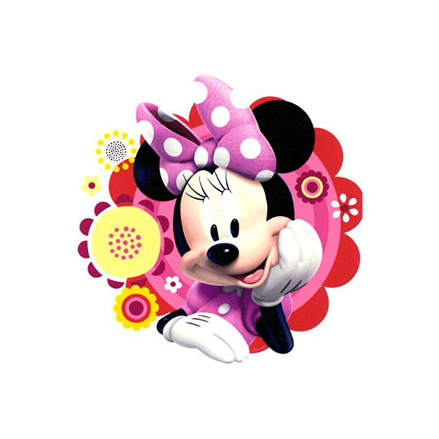 Minnie Dots & Daisies Edible Icing Image Cake Party Topper for 1/4 ...