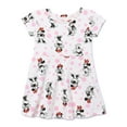Minnie Mouse Toddler Girl Print Skater Dress, Sizes 12M-5T - Walmart.com