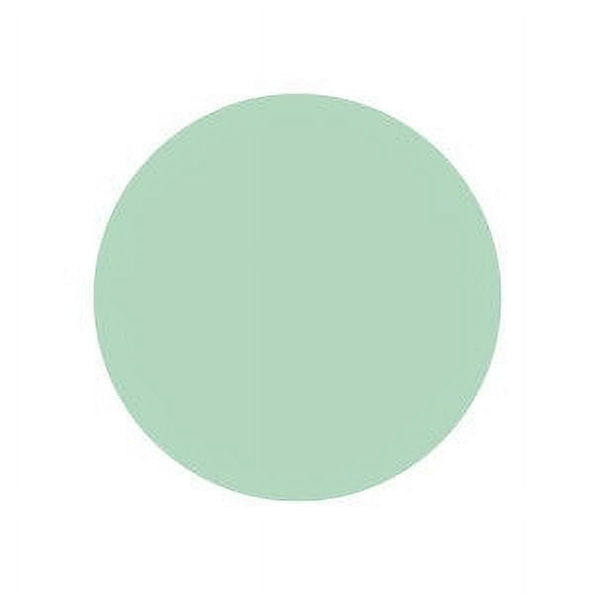 Mint - Premium Tulle Circle - ( W: 9 inch | L: 25 Pieces ) - Walmart.com