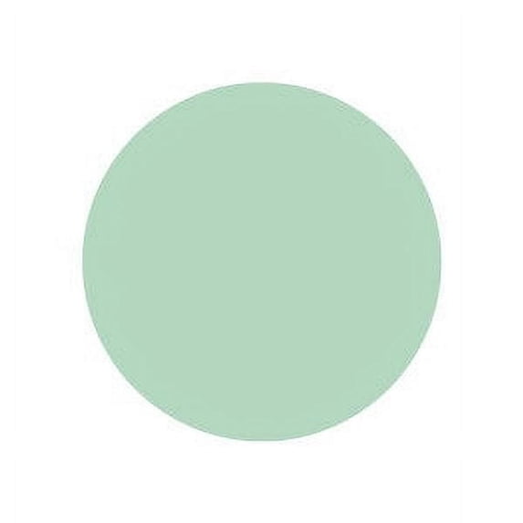 Mint - Premium Tulle Circle - ( W: 9 inch | L: 25 Pieces ) - Walmart.com