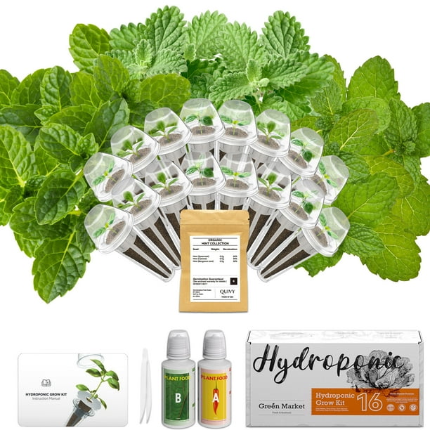 Mint Seed Pods for AeroGarden, Ahopegarden, GARDENCUBE, iDOO and All ...