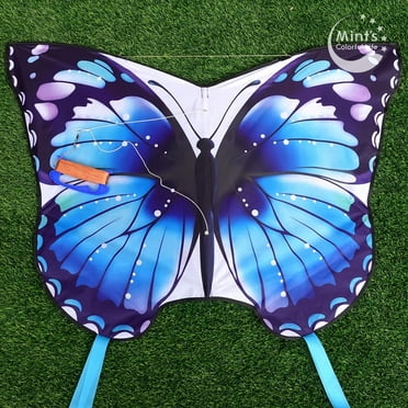 EOLO KITES Ready2Fly 22 in POP UP Butterfly Kite with Sport Bag! Ages 4 ...