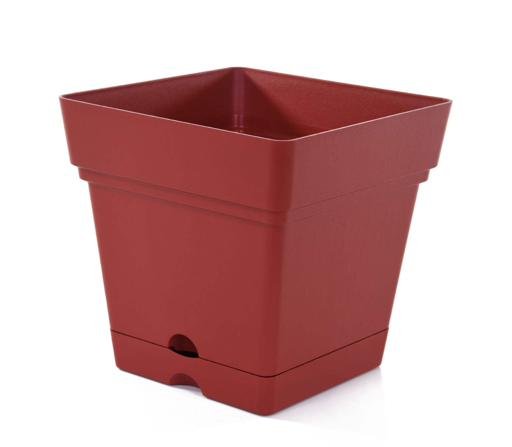 Mintra Home Small Indoor/Outdoor Garden Pot with Drainage Holes, 6.75in ...