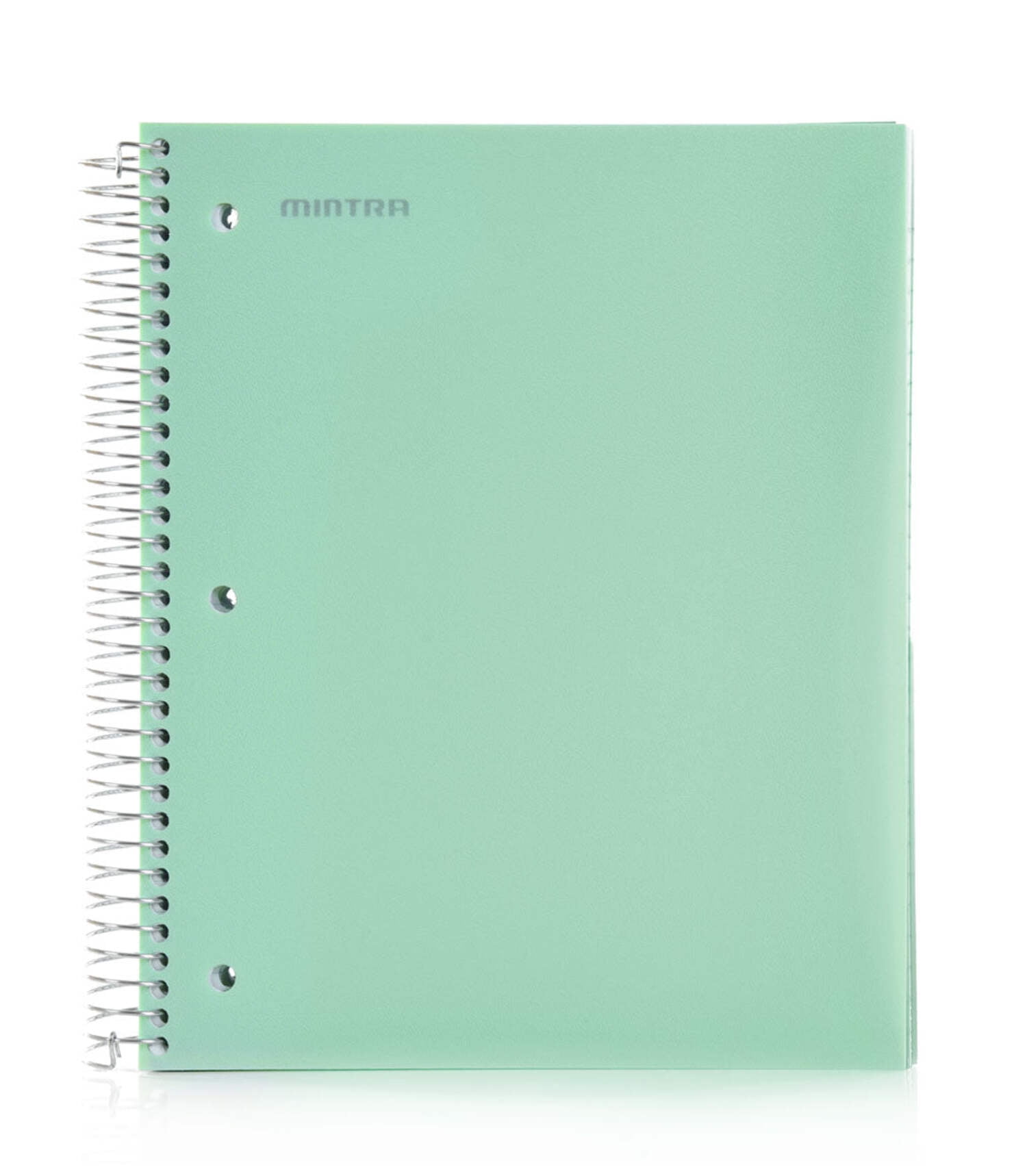 Mintra Durable Spiral Notebook - 5-subject, Wide Ruled, 1 Pack (Sage ...