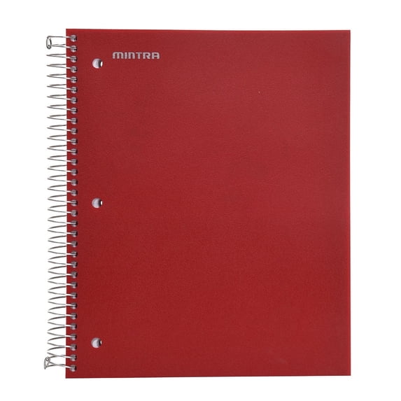 Mintra Office 5-Section Durable Spiral Notebook, College Ruled, 200 ...