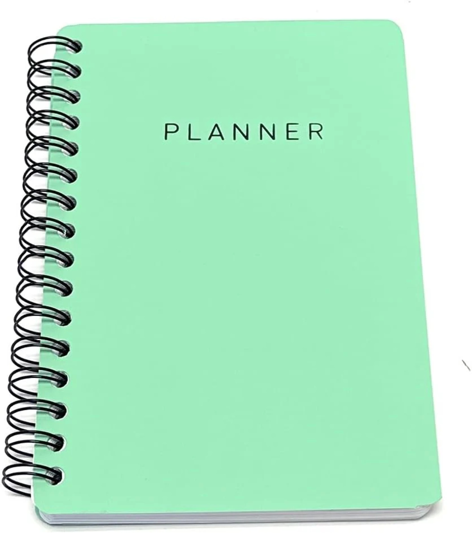Undated Daily Planner 2nd Edition - Walmart.com