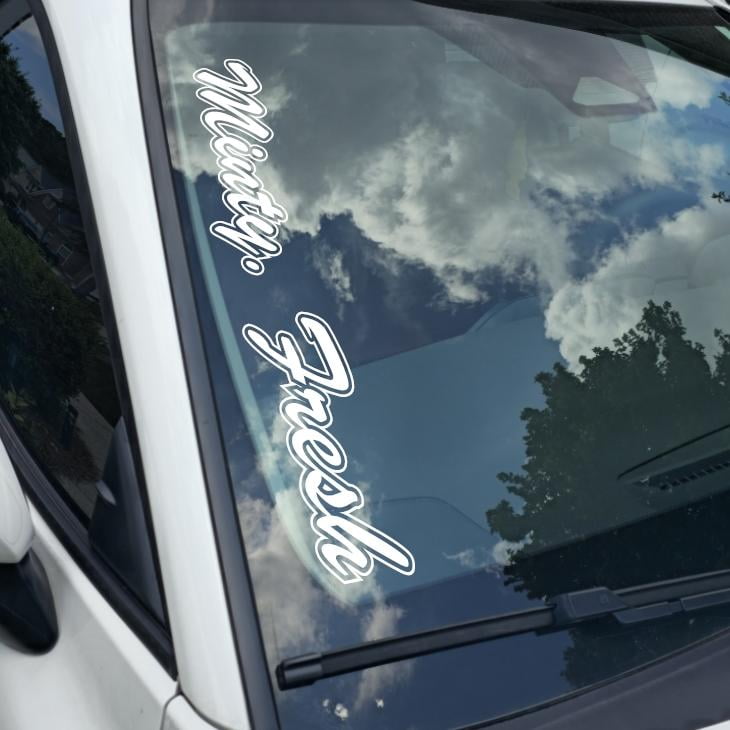 Minty Fresh! Vinyl Decal Sticker Bumper Window UV & Water Resistance ...