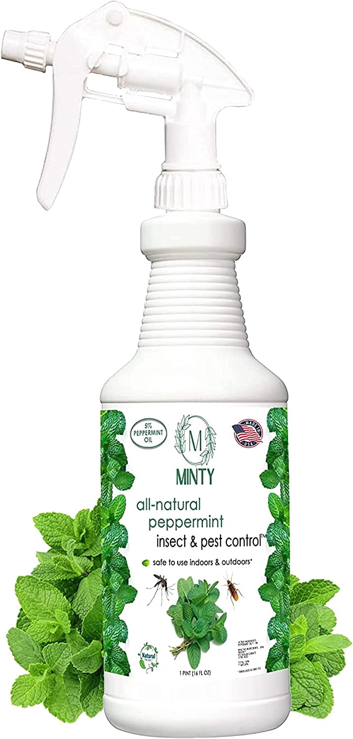 Minty Insect & Pest Control, Powerful & Natural 5% Peppermint Oil Spray ...