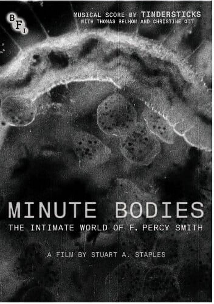 Minute Bodies: Intimate World Of F Percy Smith (DVD), Icarus Films ...