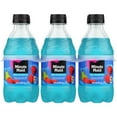 Minute Maid Blue Raspberry Juice Drink Bottles, 12 fl oz, 6 Pack ...