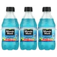 Minute Maid Blue Raspberry Juice Drink Bottles, 12 fl oz, 6 Pack ...