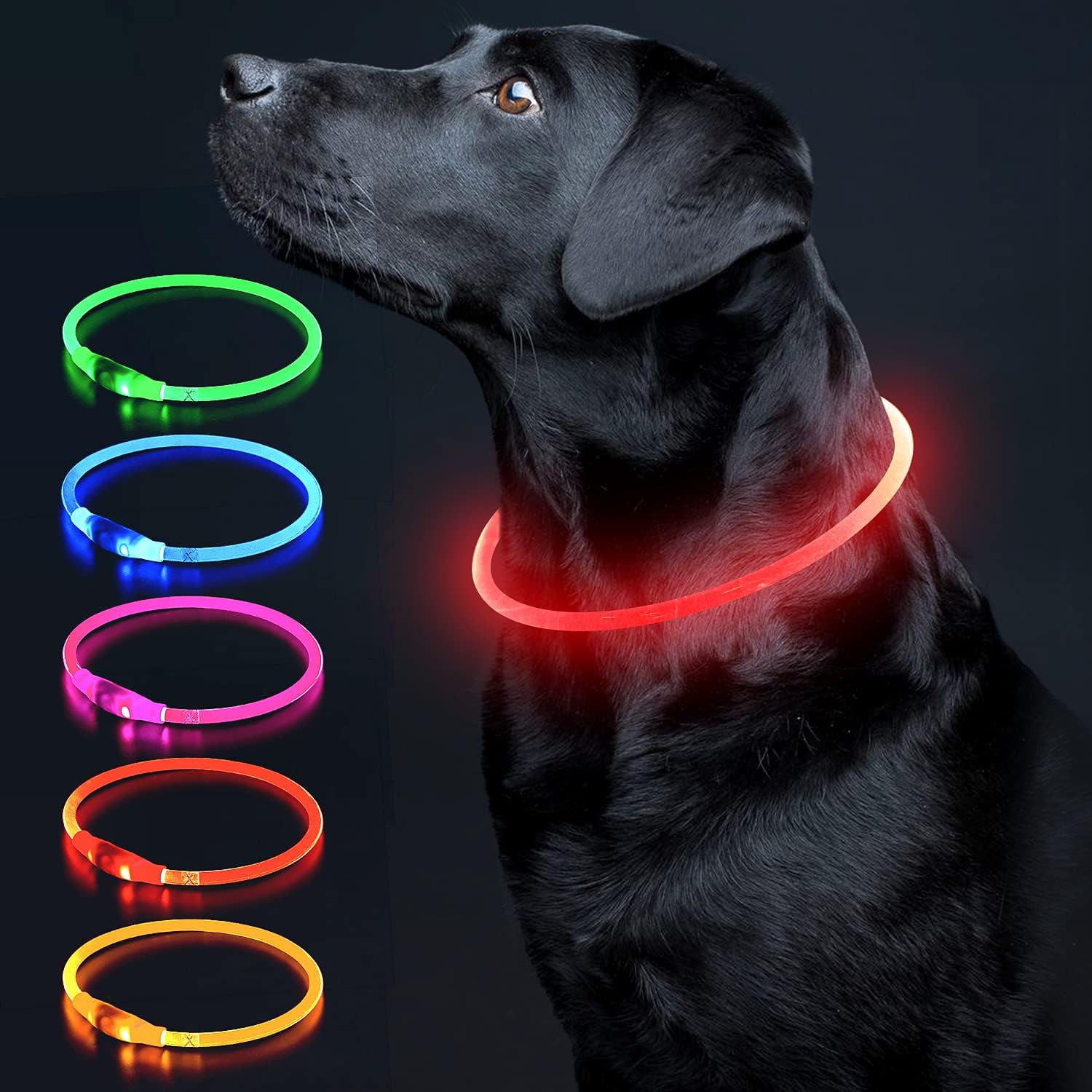 Minzimin 1 Pcs LED Dog Collar Light Up Dog Collars 1 Count USB ...