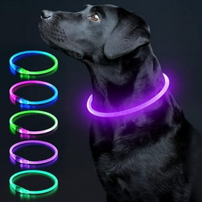 LED Dog Collar USB Rechargeable Glowing, Pet Collars Lighted Up Safety ...