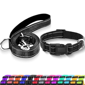 Locking Dog Collars