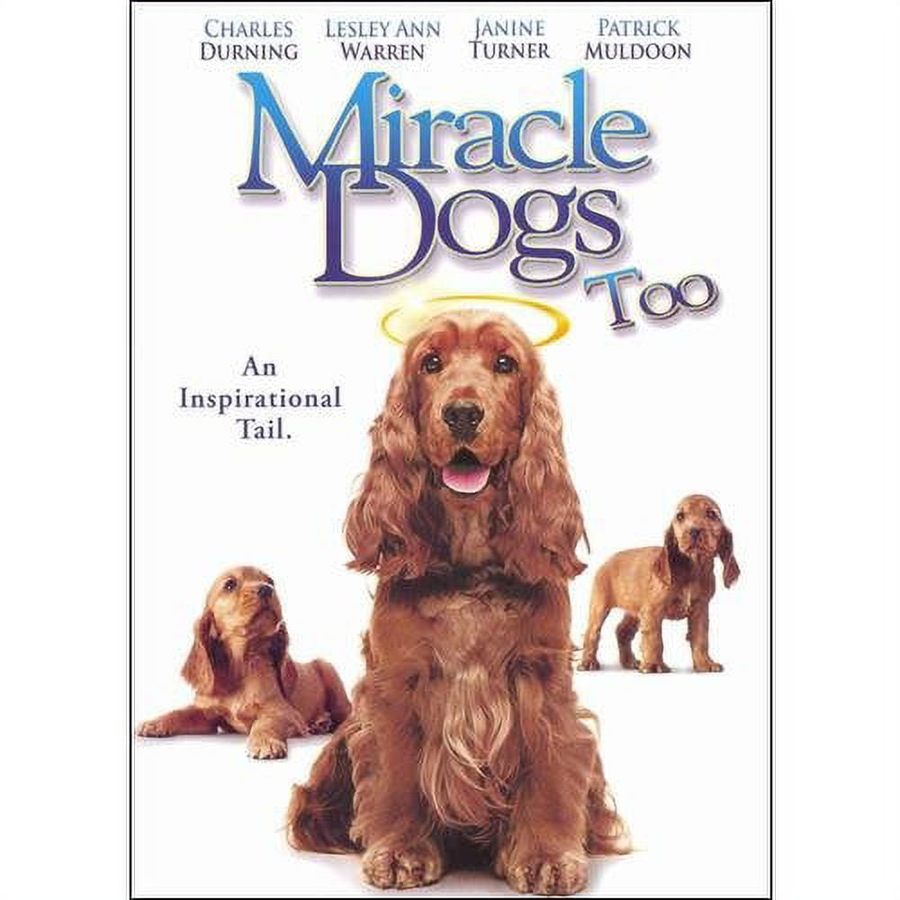 Miracle Dogs Too DVD - Walmart.com