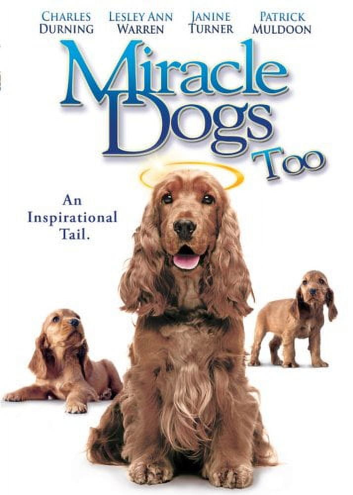 Miracle Dogs Too DVD - Walmart.com