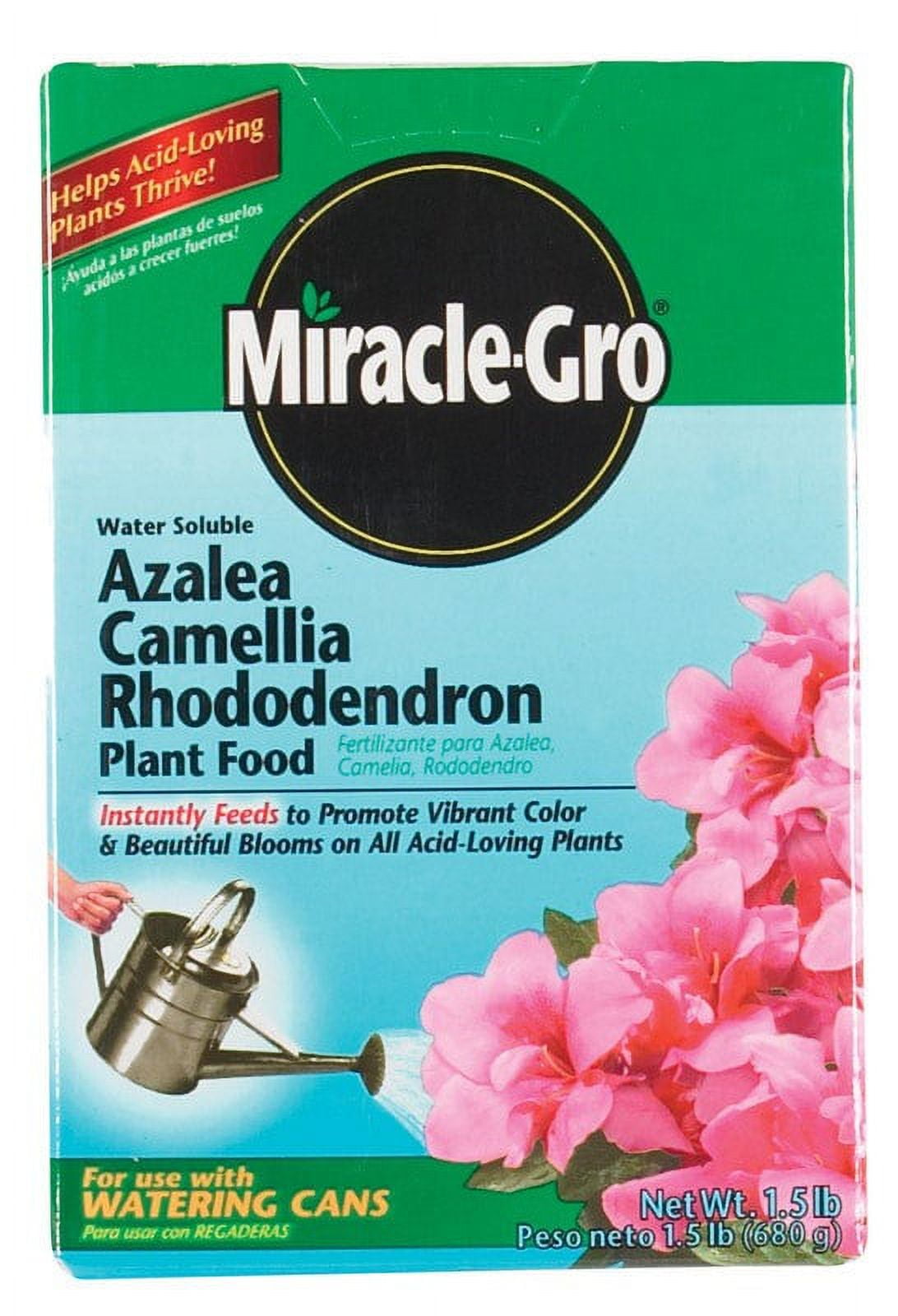 Miracle-Gro Azalea Camellia Plant Food, Bloom Fertilizer for Flowers, 1 ...