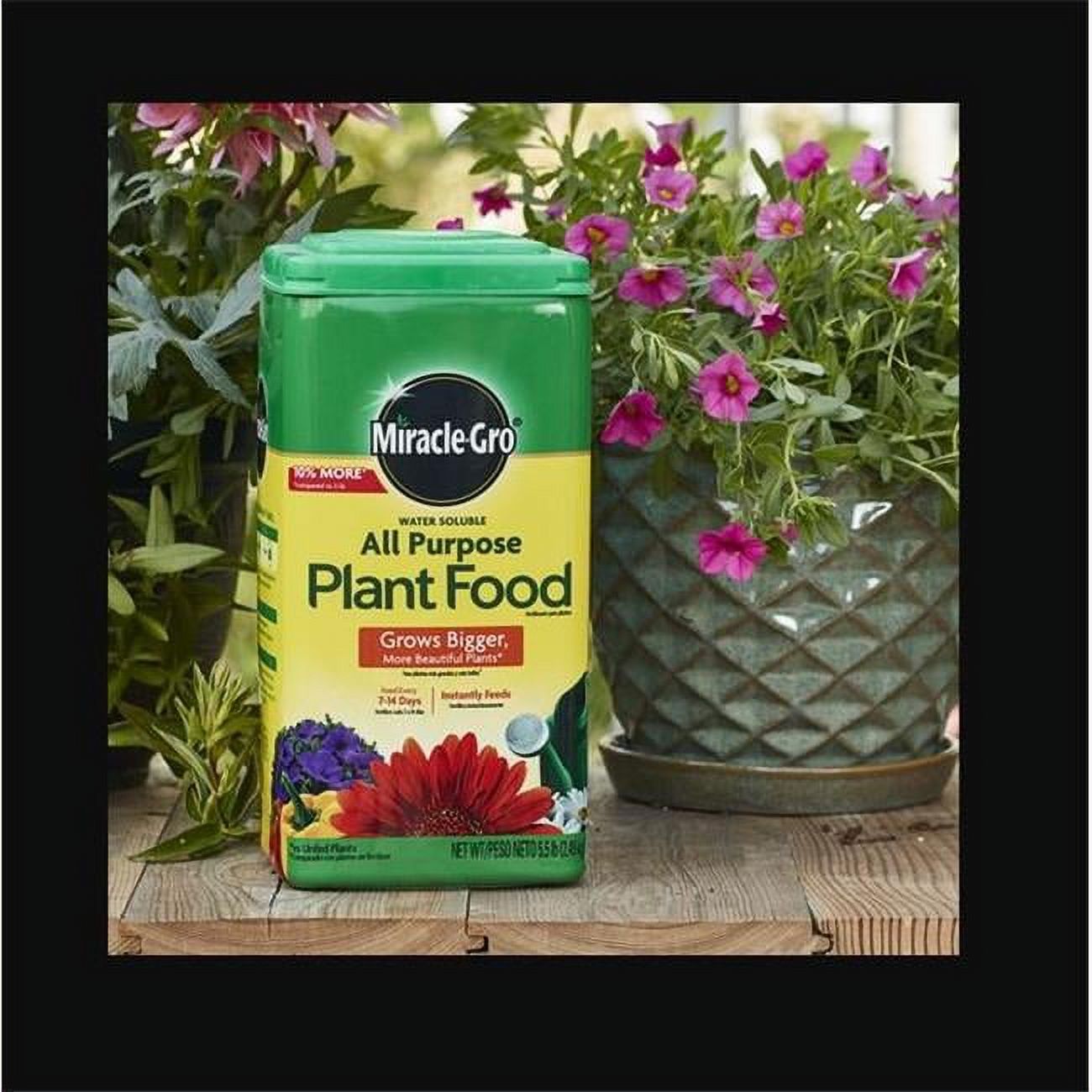Organic Flower-tone Plant Food, 4 lbs - Walmart.com