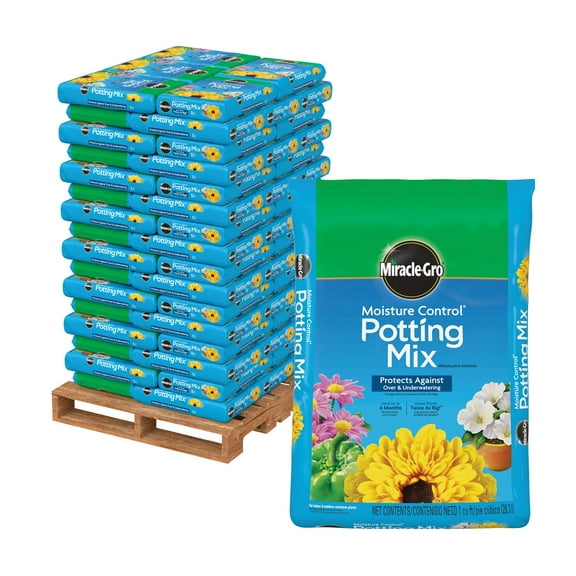 Miracle-Gro African Violet Potting Mix, 8-Quart (currently ships to ...