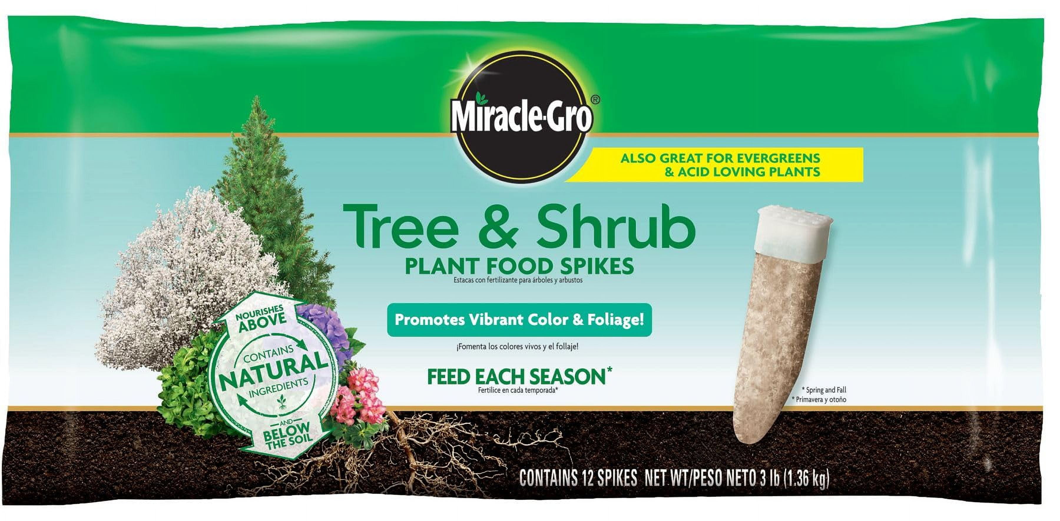 Miracle-Gro Tree and Shrub JKF25 Plant Food Spikes, For Deciduous ...