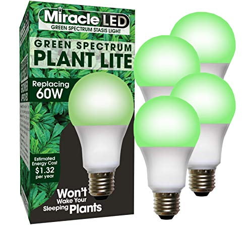 MiracleLED 604758 11W A19 Grow Room Specialty Light with Green LED Bulb ...