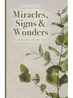 Miracles, Signs & Wonders: He Looks Beyond My Fault - Walmart.com