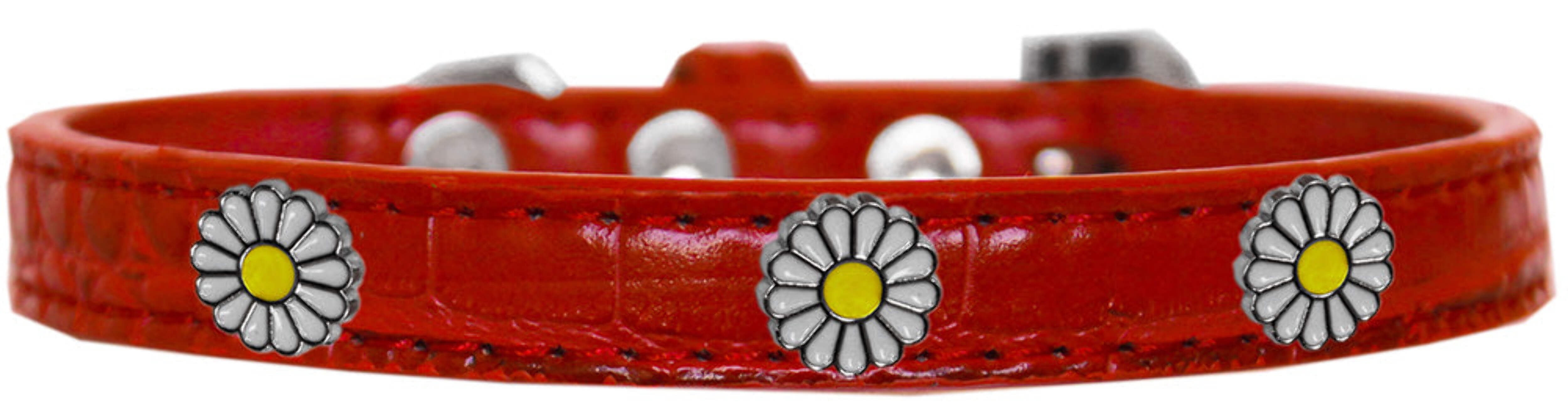 Dog, Puppy Pet Designer Croc Widget Collar, "White Daisies" - Walmart.com