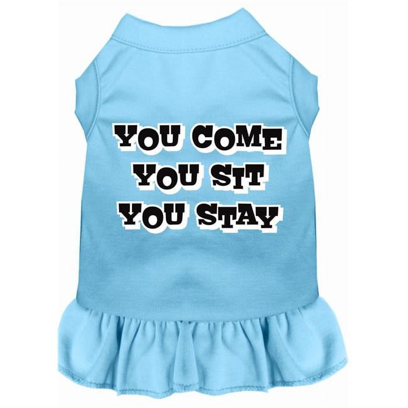 Mirage Pet You Come, You Sit, You Stay Screen Print Dress, Baby Blue ...