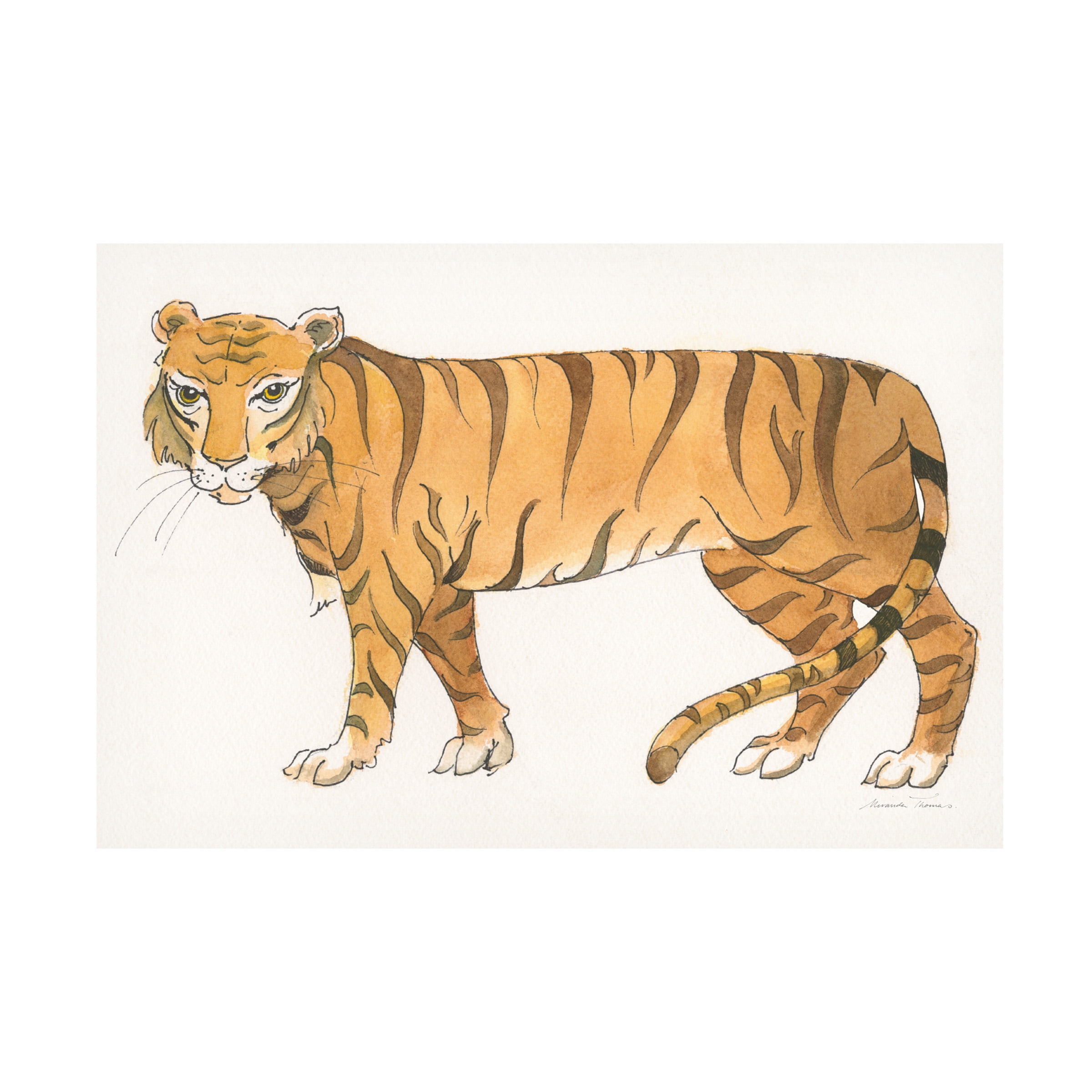 Miranda Thomas 'Big Cats IV' Canvas Art - Walmart.com