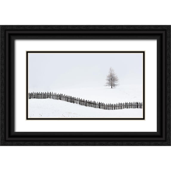 Miribung, Vito 24x15 Black Ornate Wood Framed with Double Matting ...