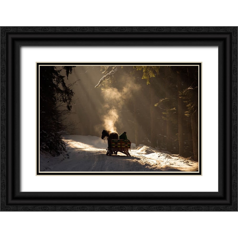 Mirica, Dan 32x23 Black Ornate Wood Framed with Double Matting Museum ...