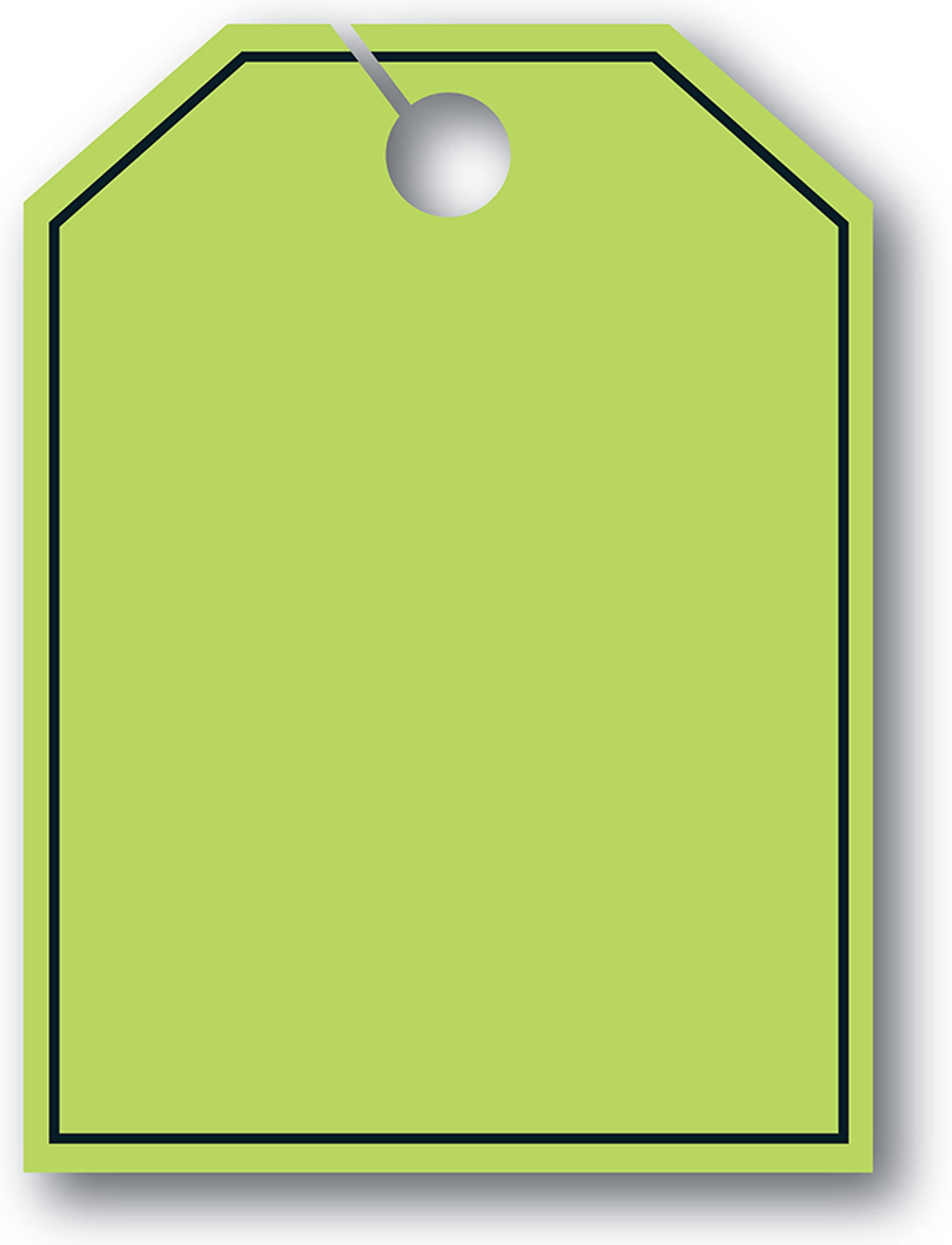 SSWBasics Mirror Hang Tags - Fl Green - Blank with Border - 8 1/2ʺW x ...