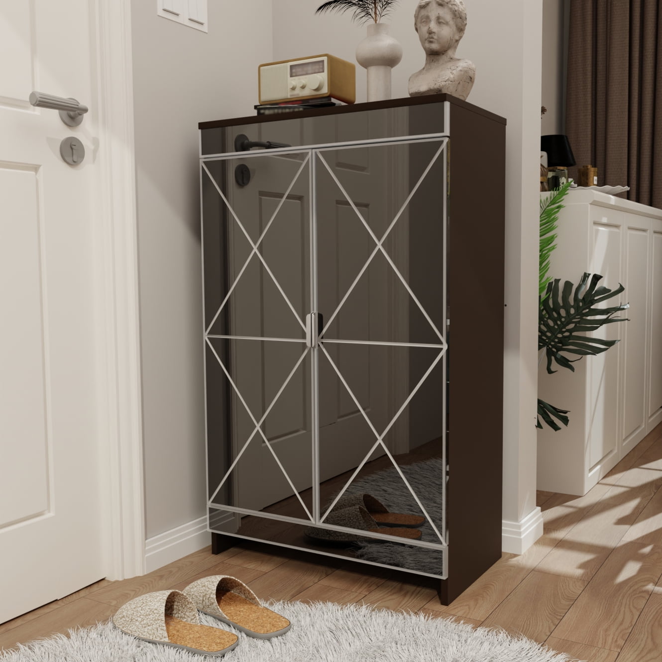 Mirrored Shoe Storage Cabinet with Silver Trim and Frosted Glass Doors ...