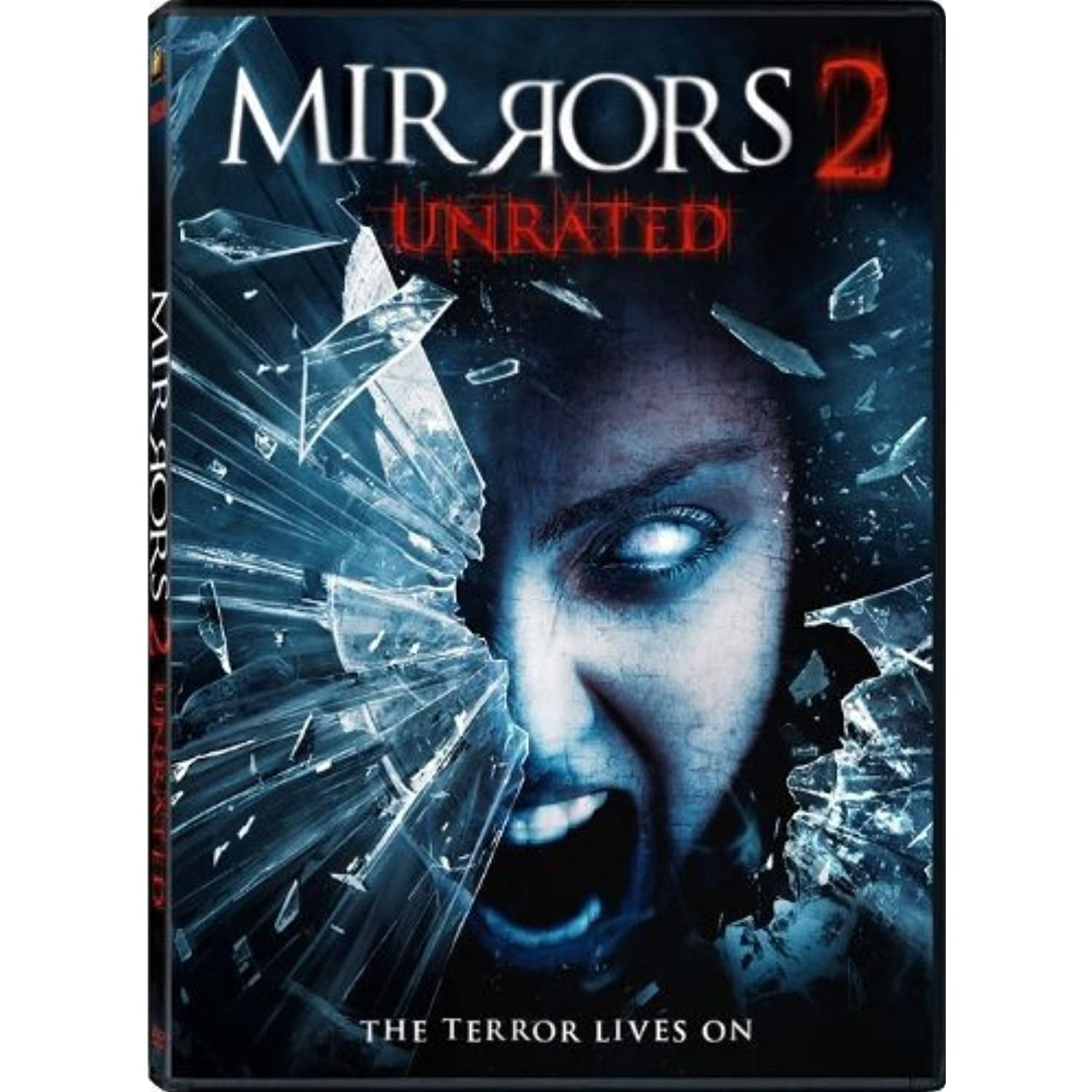 Mirrors 2: Evil Lives - Bloody Flesh Horror Movie (DVD) - Walmart.com