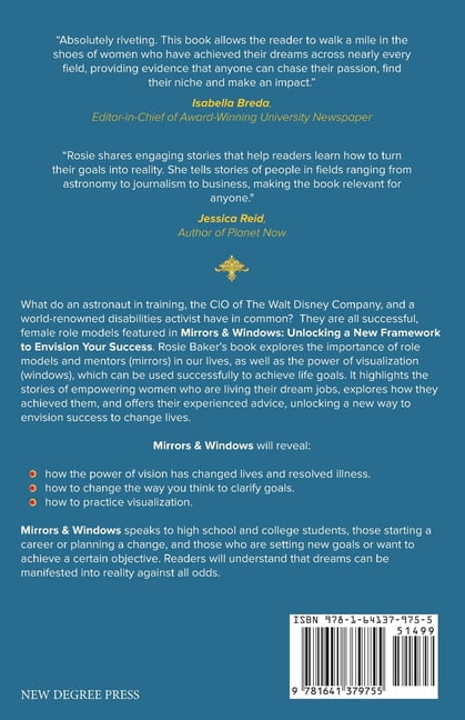 Mirrors & Windows: Unlocking a New Framework to Envision Your Success ...
