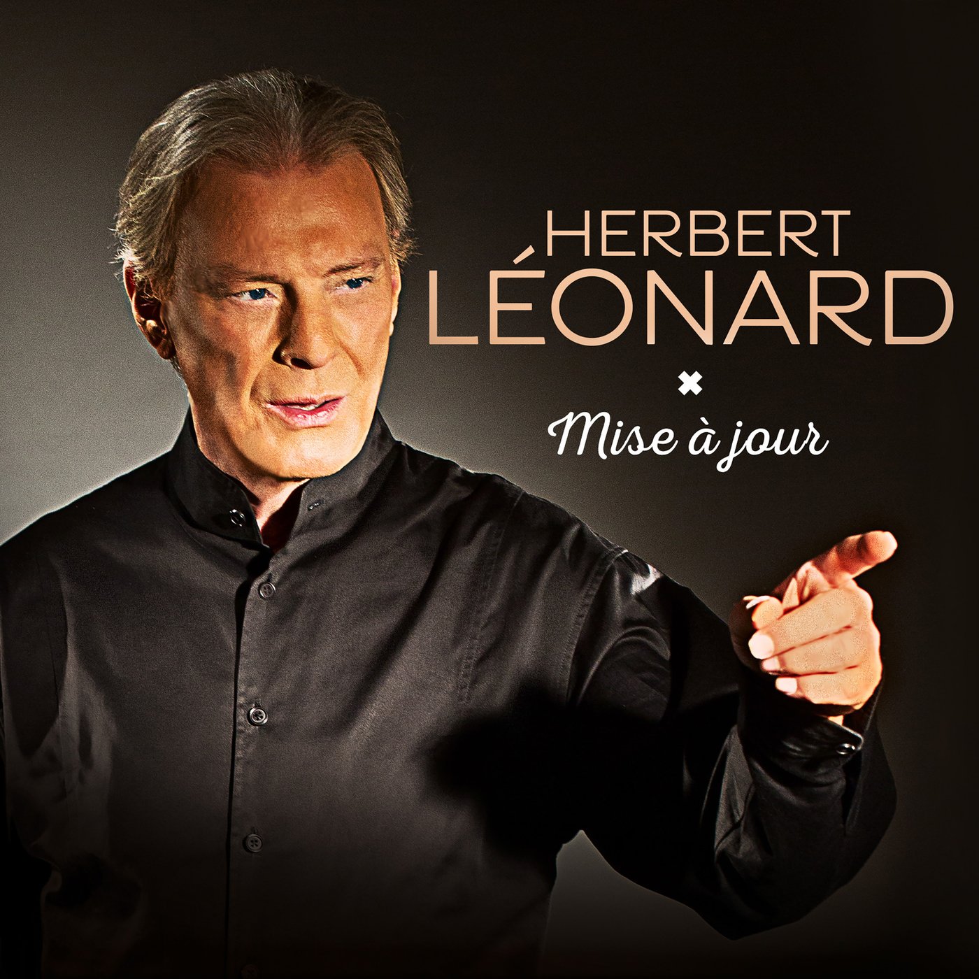 Mise À Jour (50 Ans de Carrière) Herbert Léonard (CD) - Walmart.com