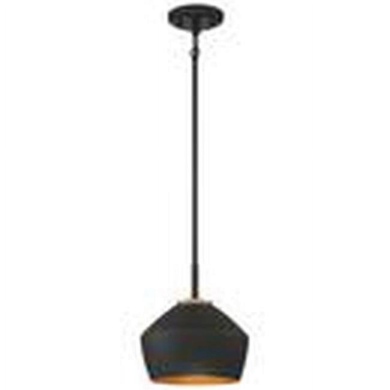 Maxim 12121BKAB 3.25 in. Early Electric 1-Light Pendant, Black & Antique Brass - Walmart.com