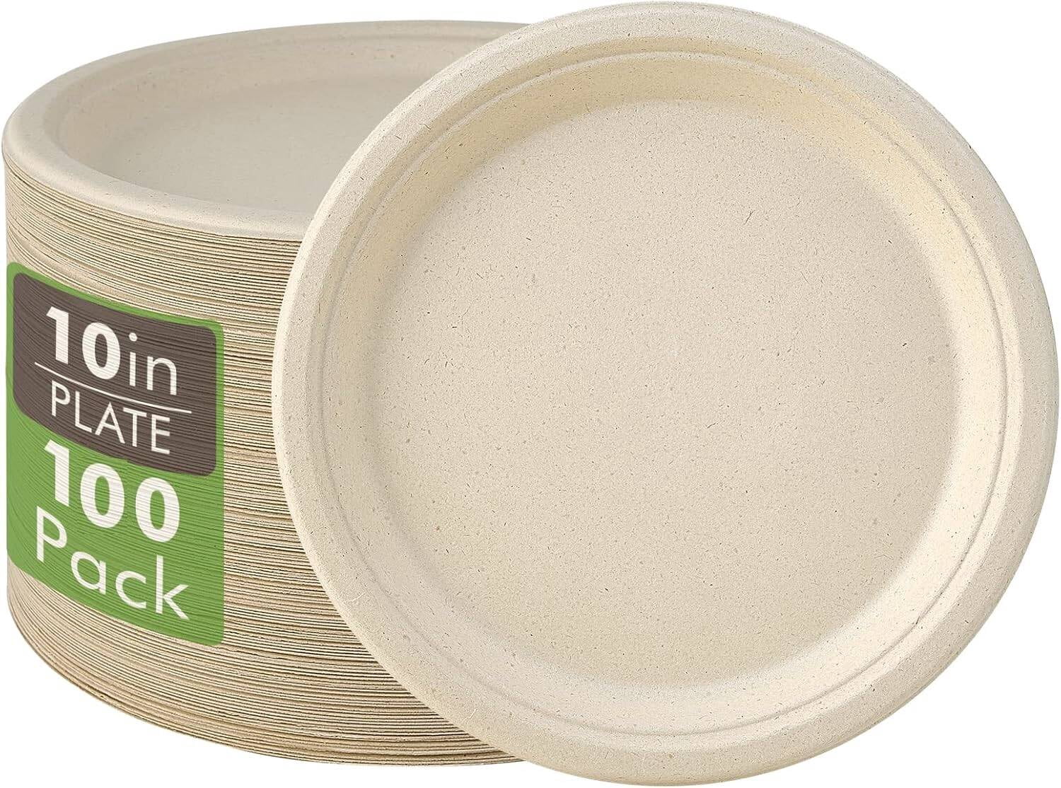 Mishitina 100% Compostable Paper Plates,Heavy Duty Disposable Plates ...