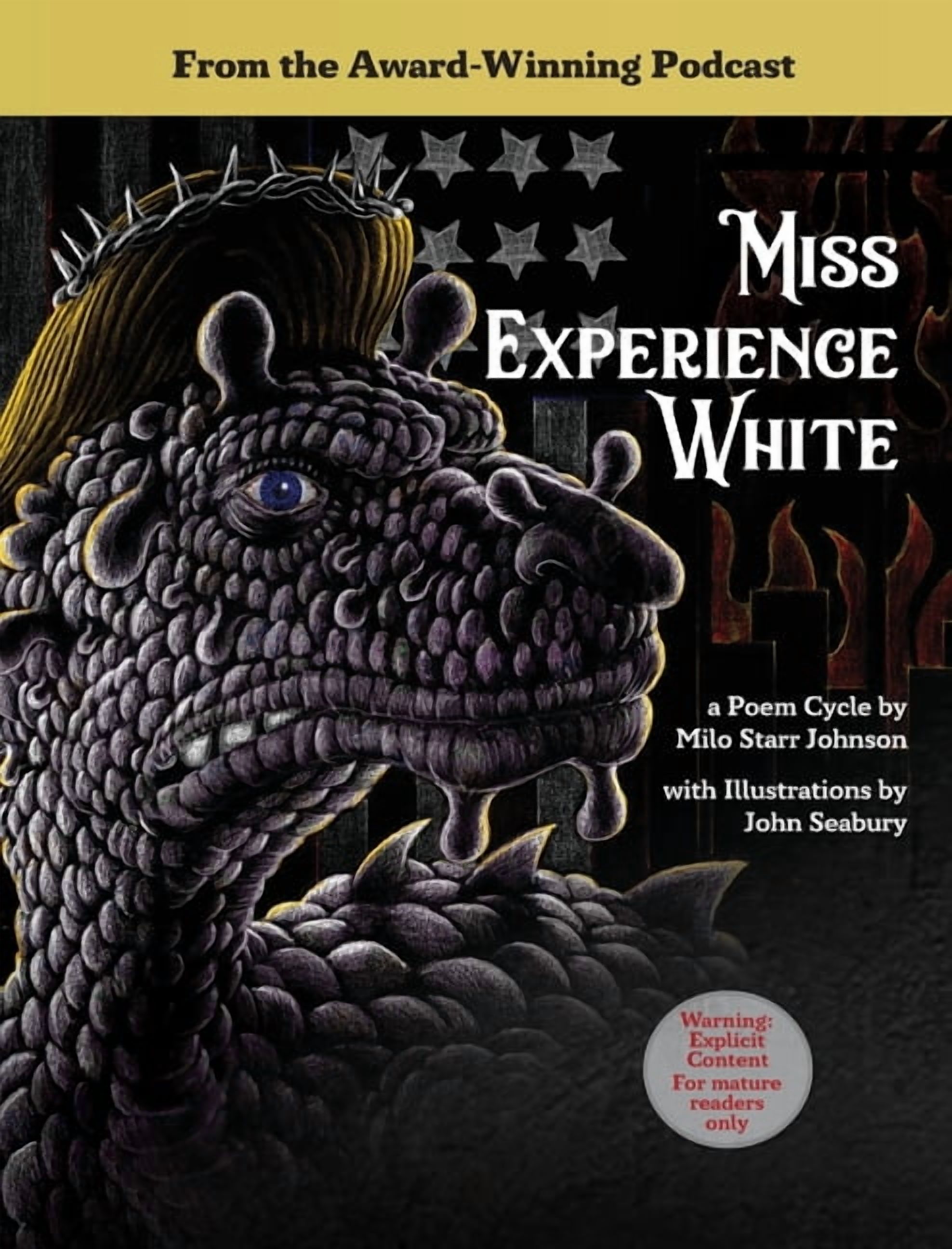 Miss Experience White: A Poem Cycle, (Hardcover) - Walmart.com