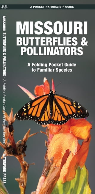 Missouri Butterflies & Pollinators : A Folding Pocket Guide to Familiar ...