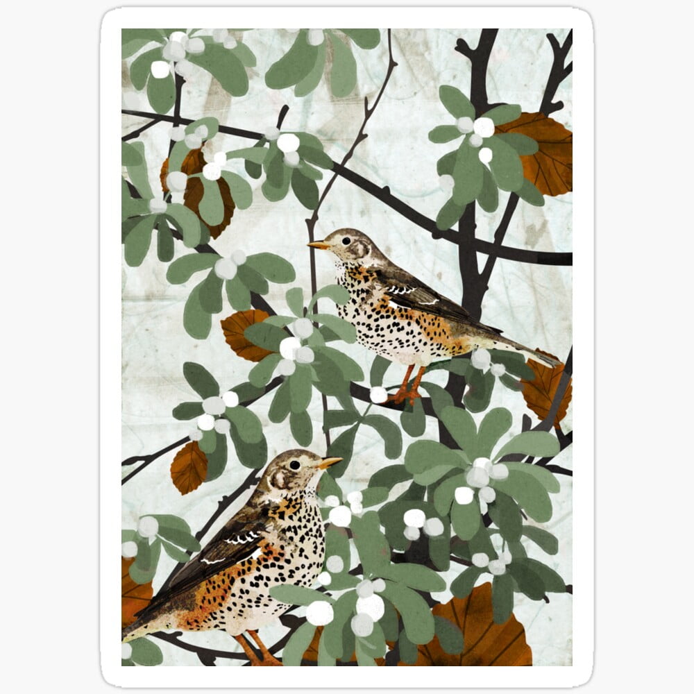 Mistle Thrush & Mistletoe Sticker Phone Decal Water Bottle Stickers Car ...
