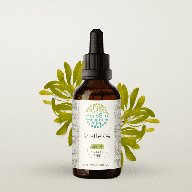 Mistletoe Alcohol-FREE Herbal Extract Tincture, Super-Concentrated ...