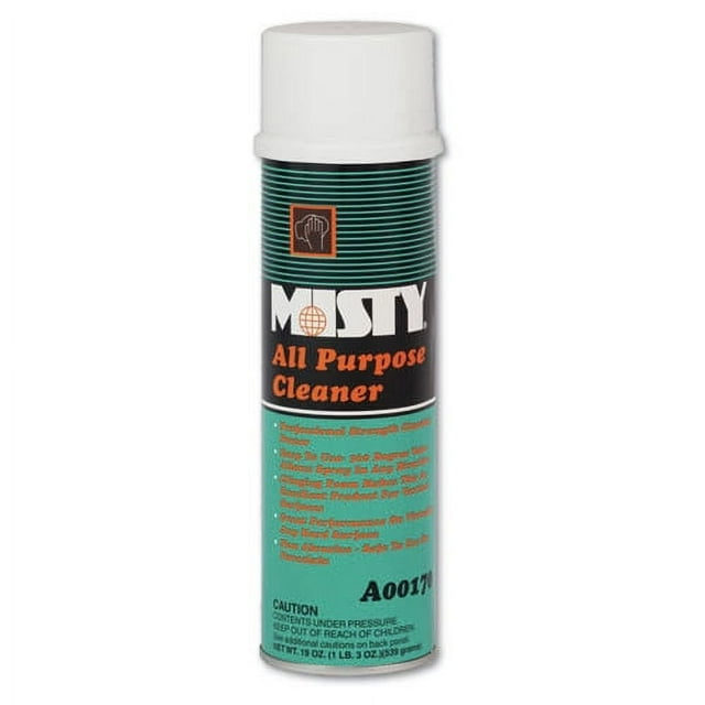 Misty 1001592 19 oz. Mint Scent All-Purpose Cleaner Aerosol Spray (12 ...