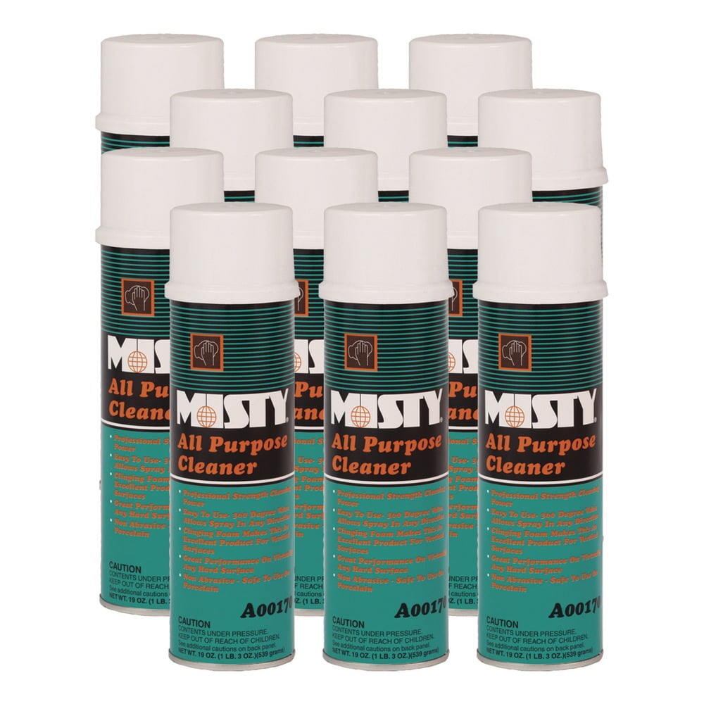 Misty 1001592 19 oz. Mint Scent All-Purpose Cleaner Aerosol Spray (12 ...