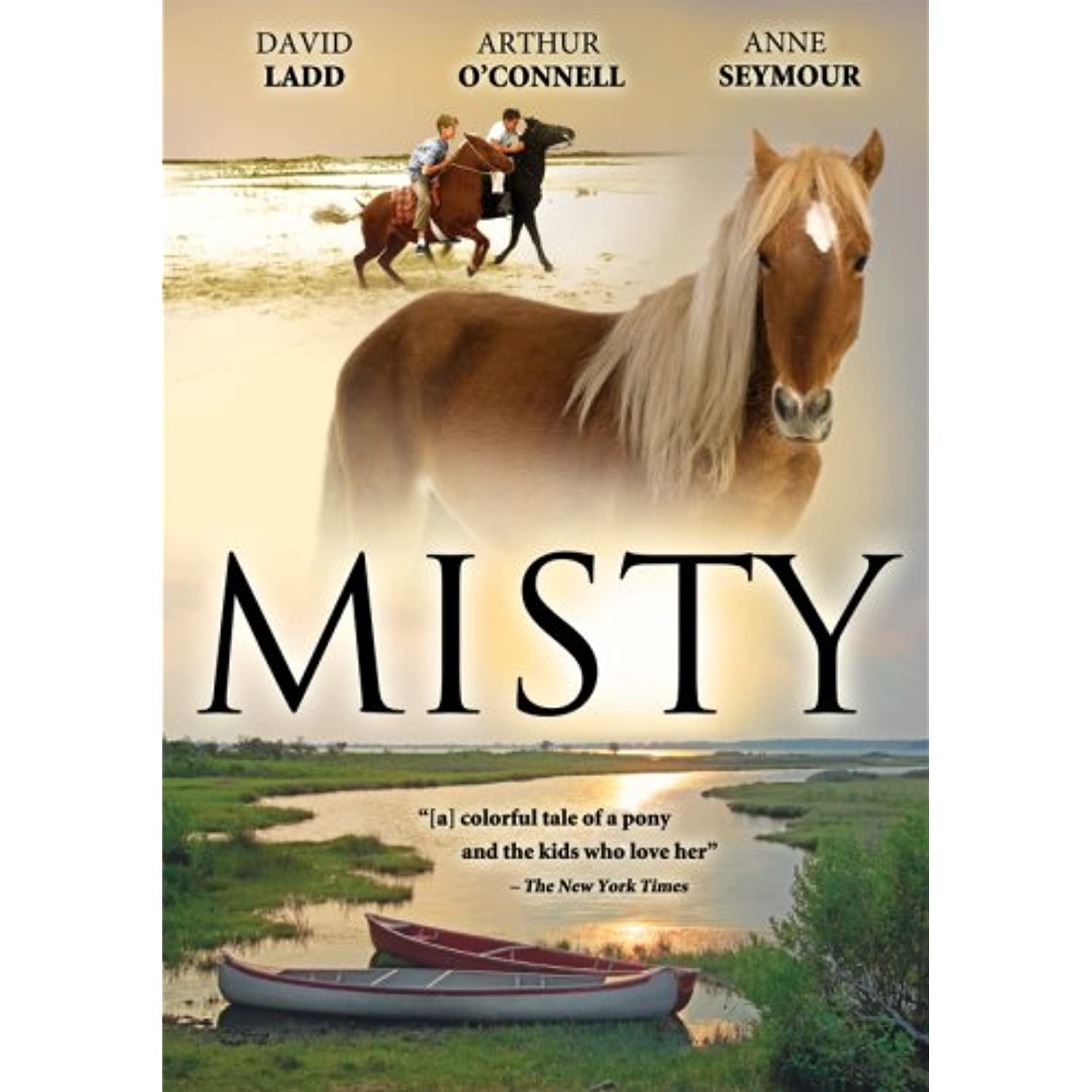 Misty DVD - Walmart.com